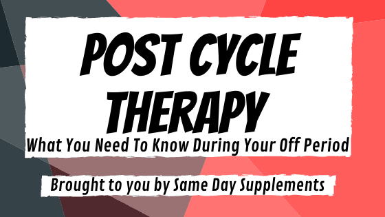 Post Cycle Therapy: What You Need To Know During Your Off Period