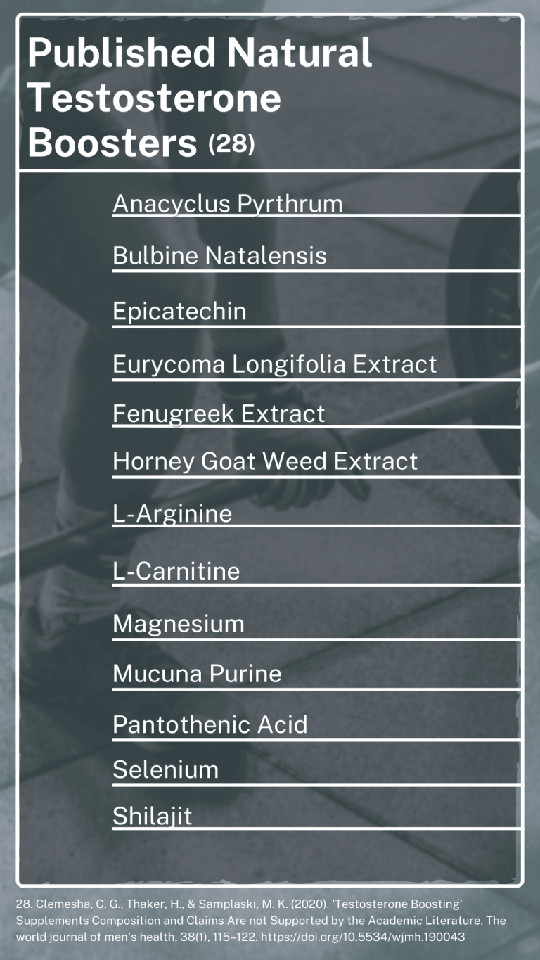 Natural Testosterone Booster Guide (2022)
