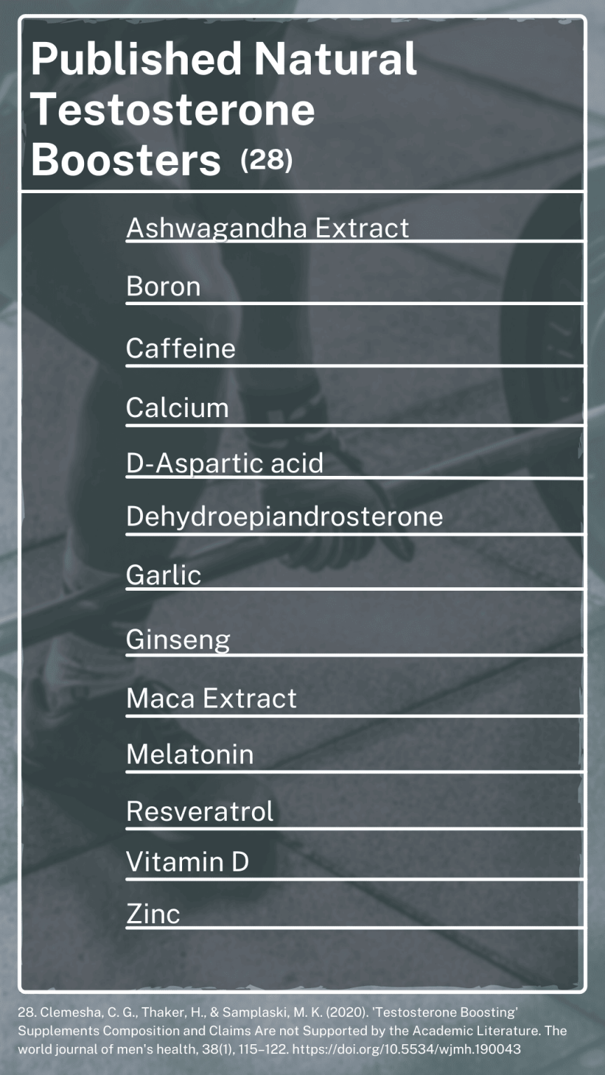 Natural Testosterone Booster Guide (2022)