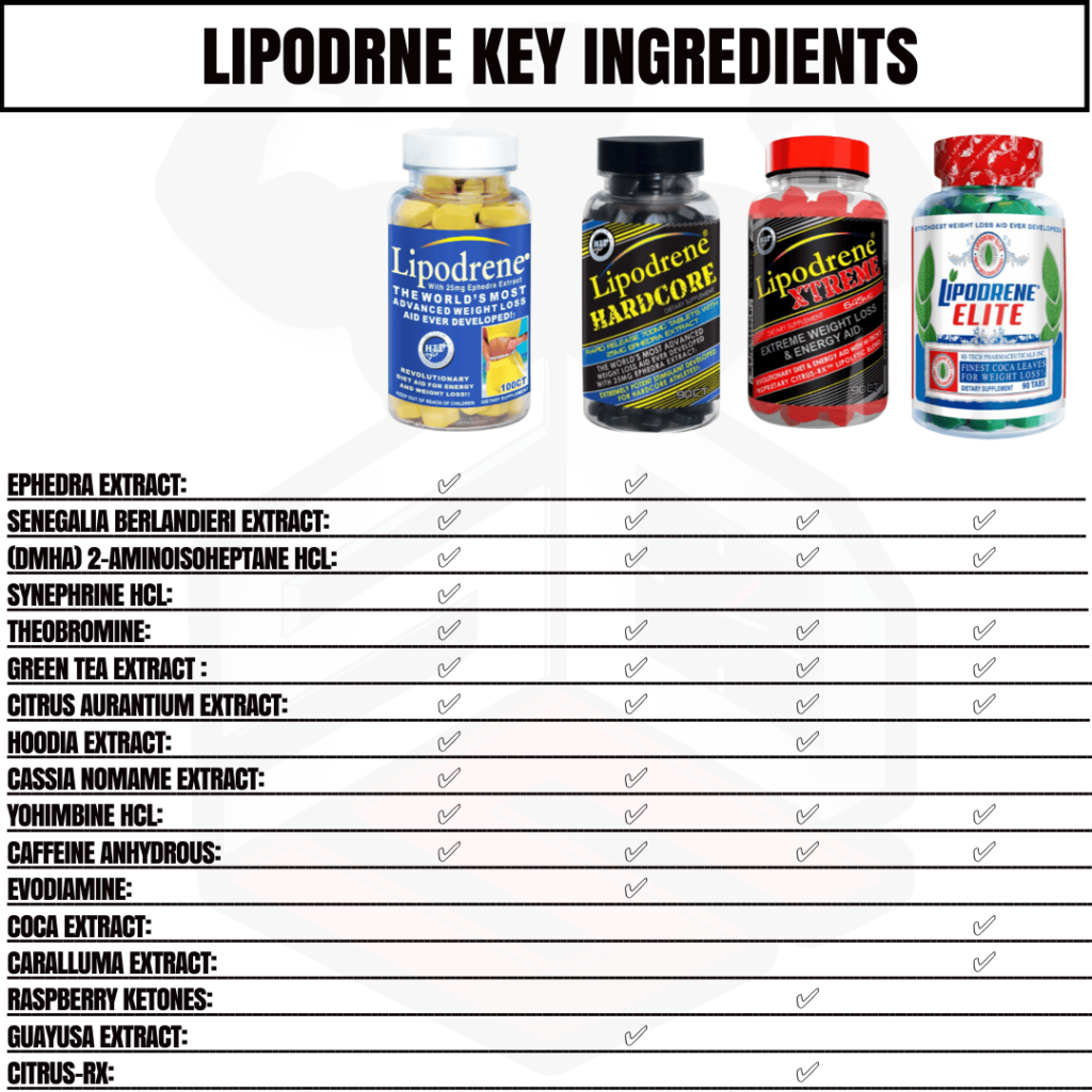 Lipodrene Vs Lipodrene (What to know in 2023)