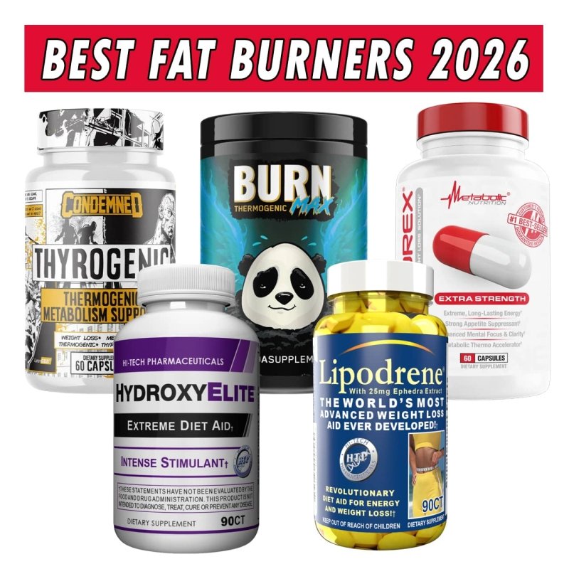 Best Fat Burners of 2026 | Same Day Shipping